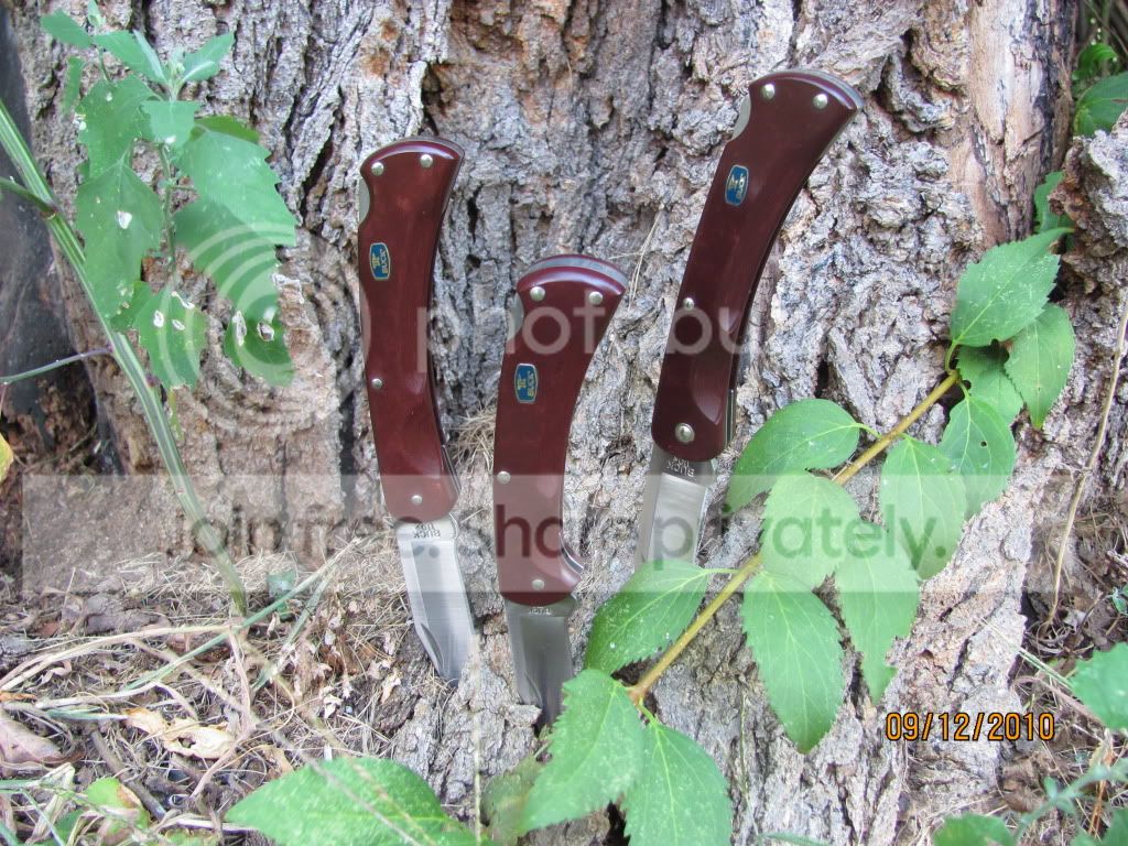 Buck 110 Ecolite Paperstone - Why is it not popular? | BladeForums.com